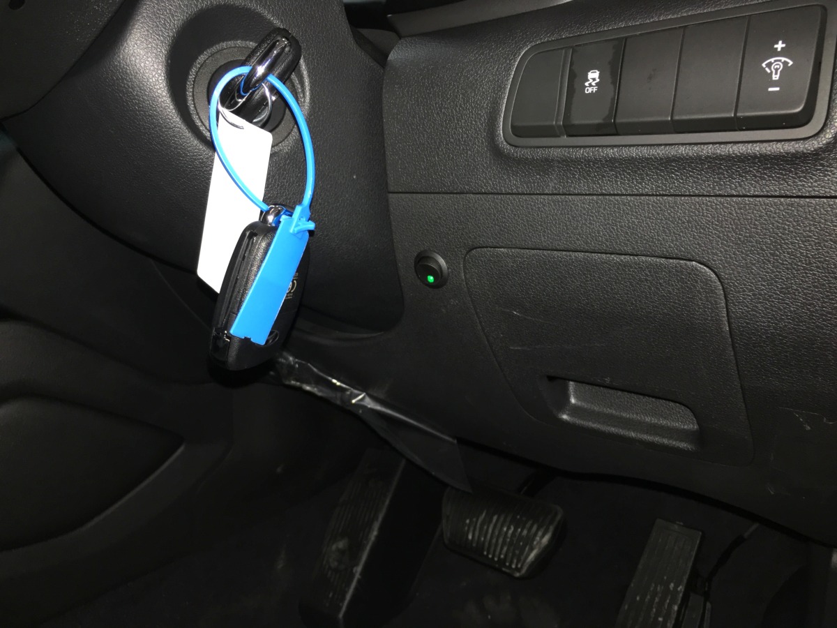 Tucson 2019 ShuRoo | Creative Installations