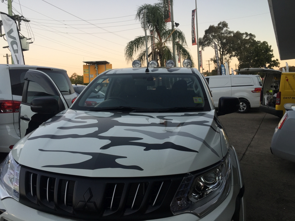 Triton 2016 Lightforce 170 Striker Driving Lights | Creative Installations